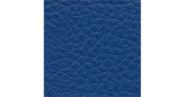 Polyskum rektangulär kudde Blå Psoaskudde 50x45x40 - Klubbensport.se